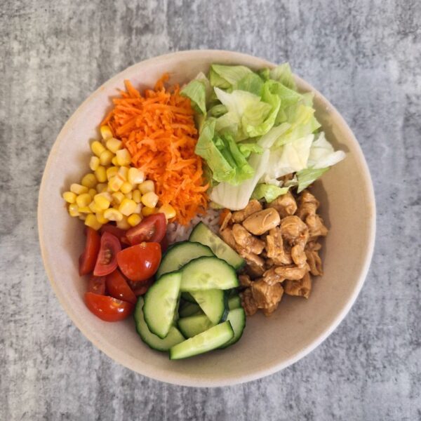 Teriyaki Chicken, Rice and Salad Bowl – QAST