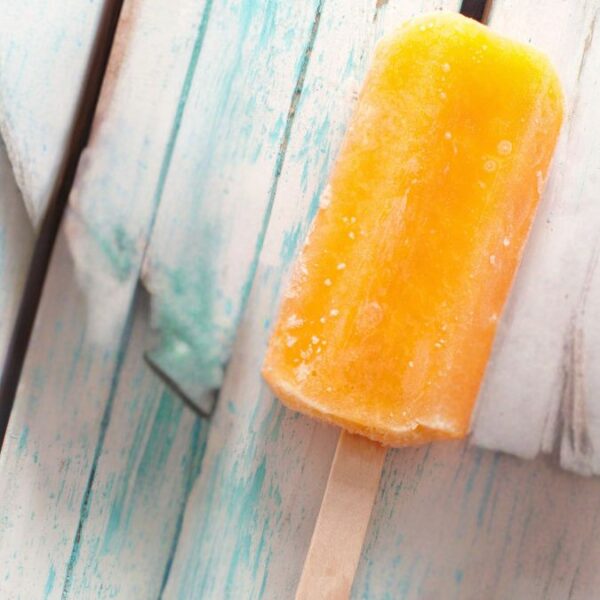 Carrot, Orange and Pineapple Ice Blocks – QAST